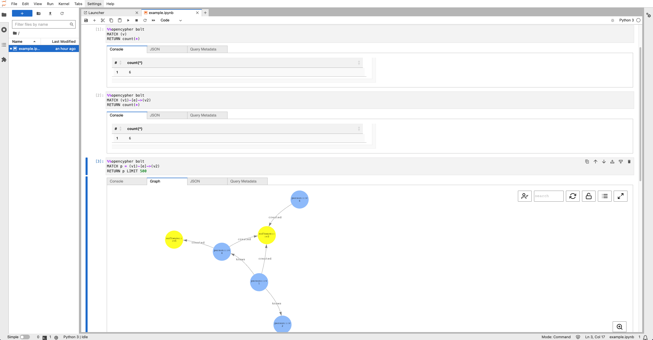 Querying using openCypher - PuppyGraph Docs