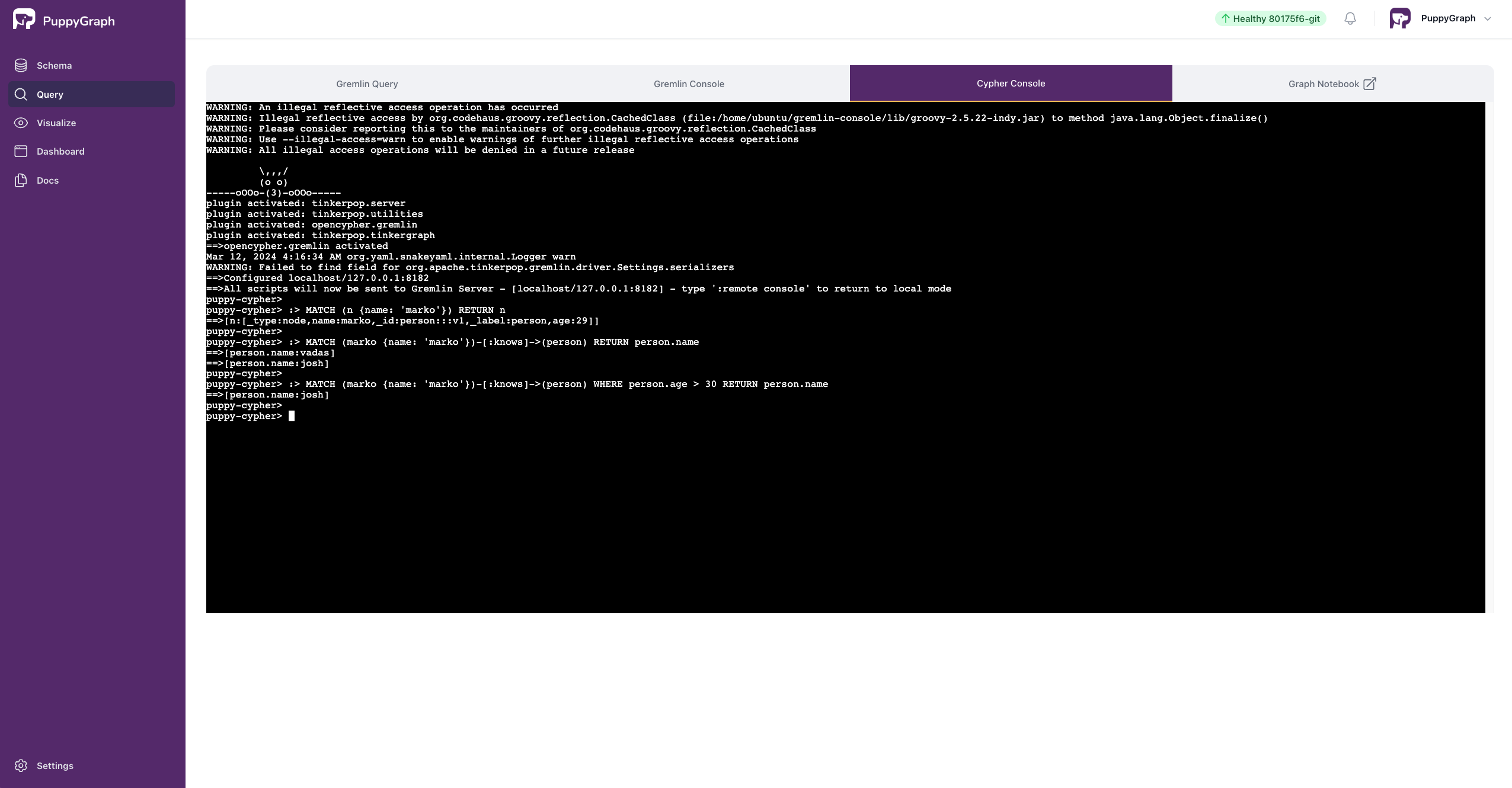 Querying using openCypher - PuppyGraph Docs